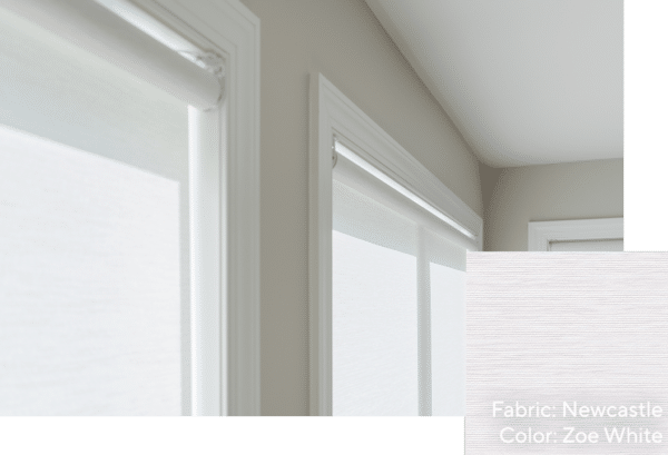 Shades of Style: A Comprehensive Guide to Choosing the Perfect Roller ...